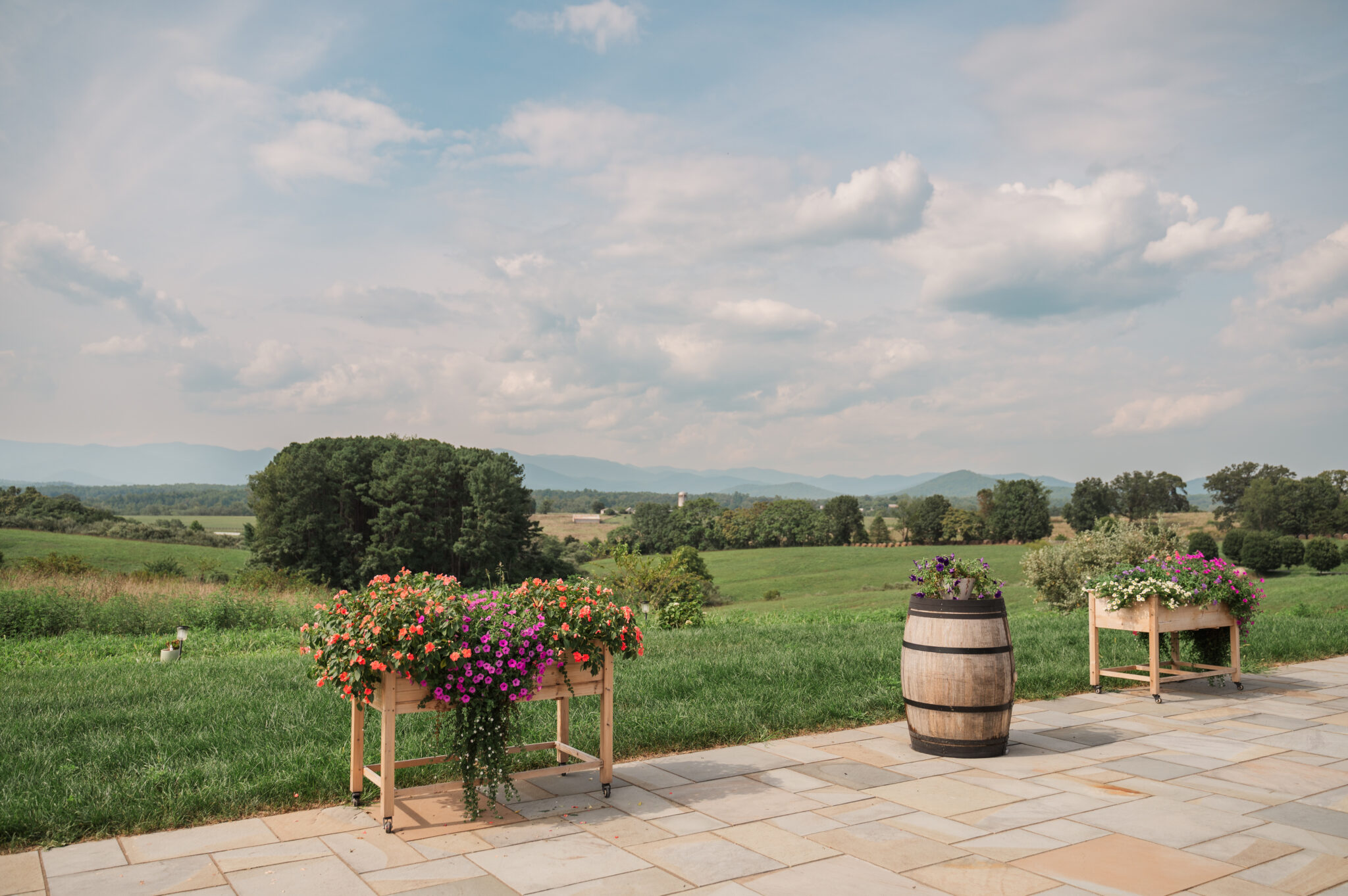 Blossom Ridge Farm & Vineyard - kimforbesphotography.com